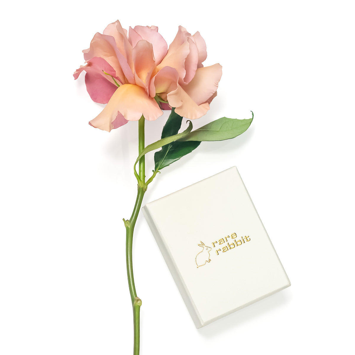 Pearl Pop Bracelet – Rare Rabbit